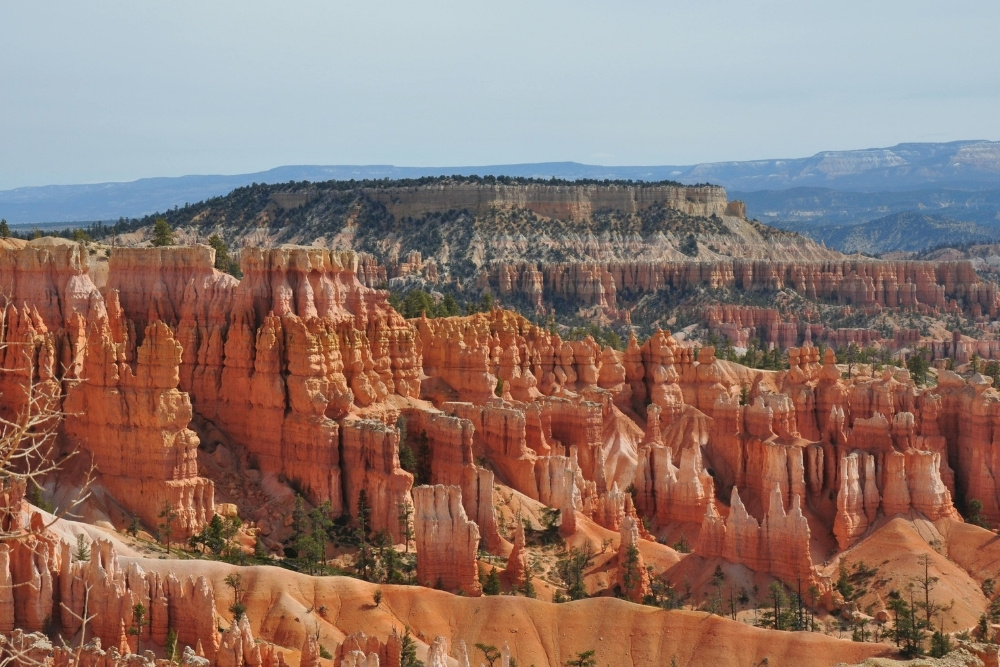 Best Time To Visit Bryce Canyon National Park: A Guide