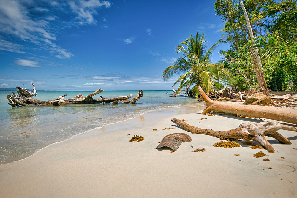De 8 beste plaatsen om te bezoeken in januari