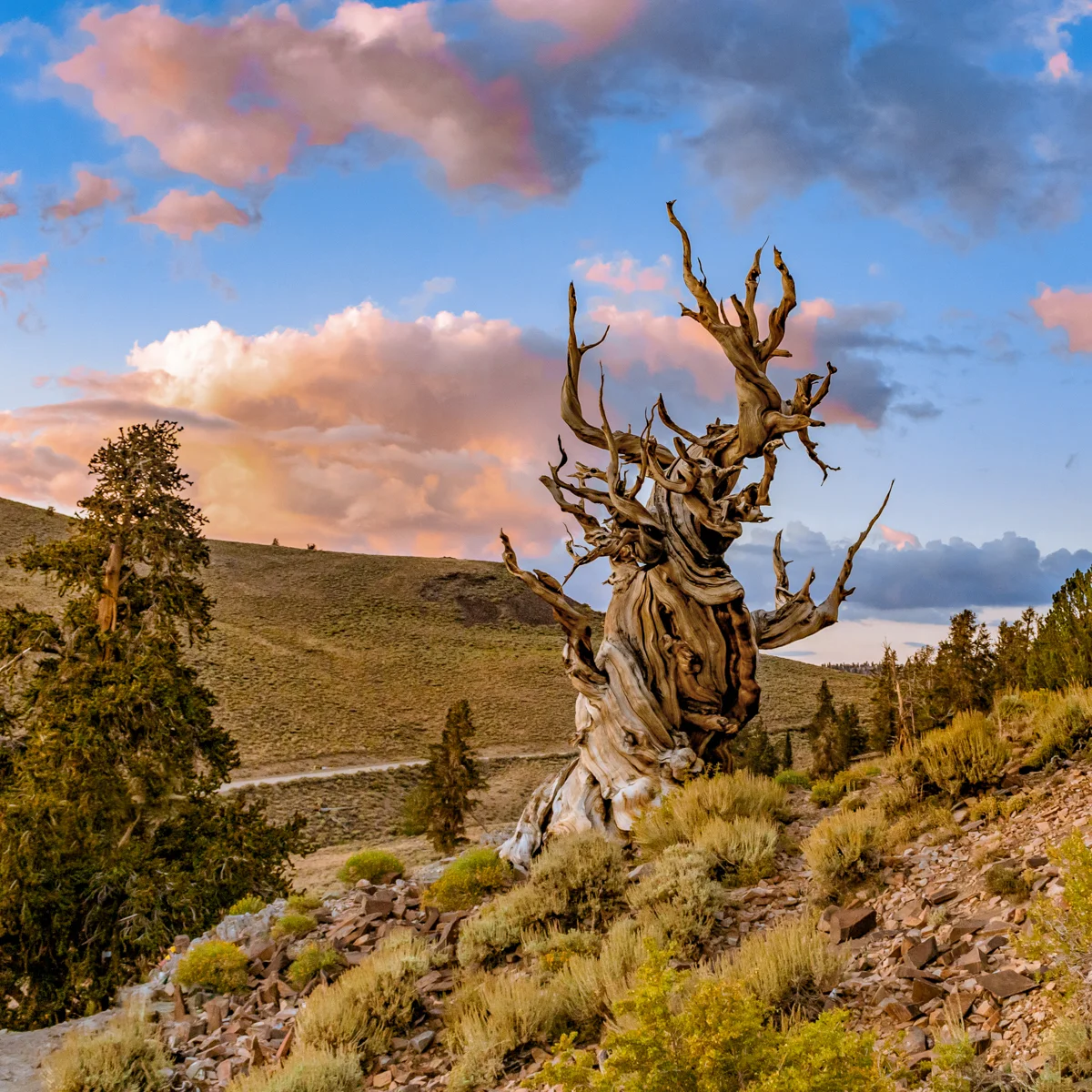 Northern California’s most unmissable hidden gems