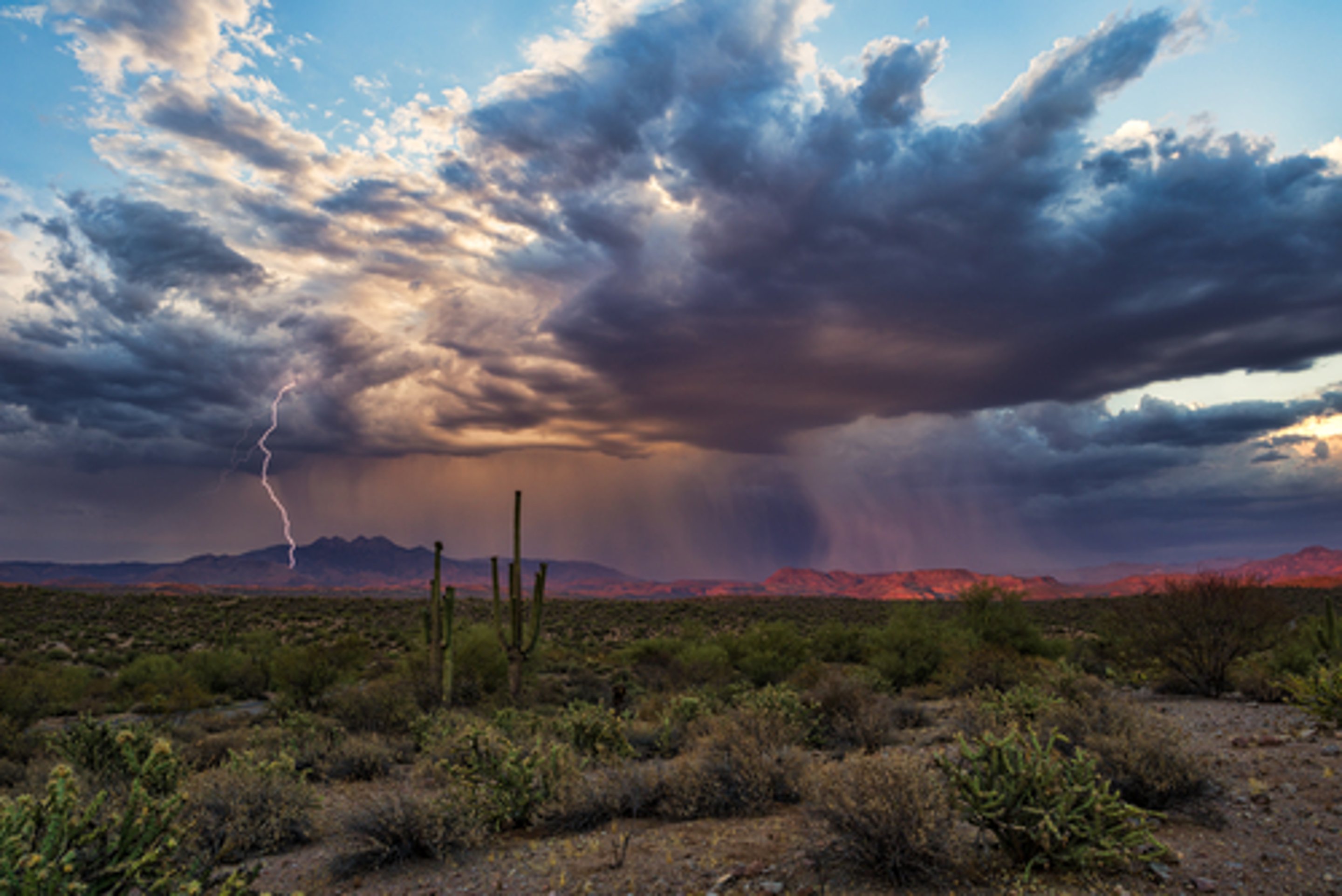 How to prepare for southwest monsoon season | SERVPRO