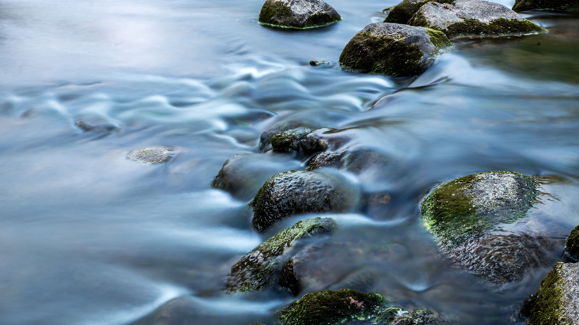 Water Damage Restoration & Repair | SERVPRO