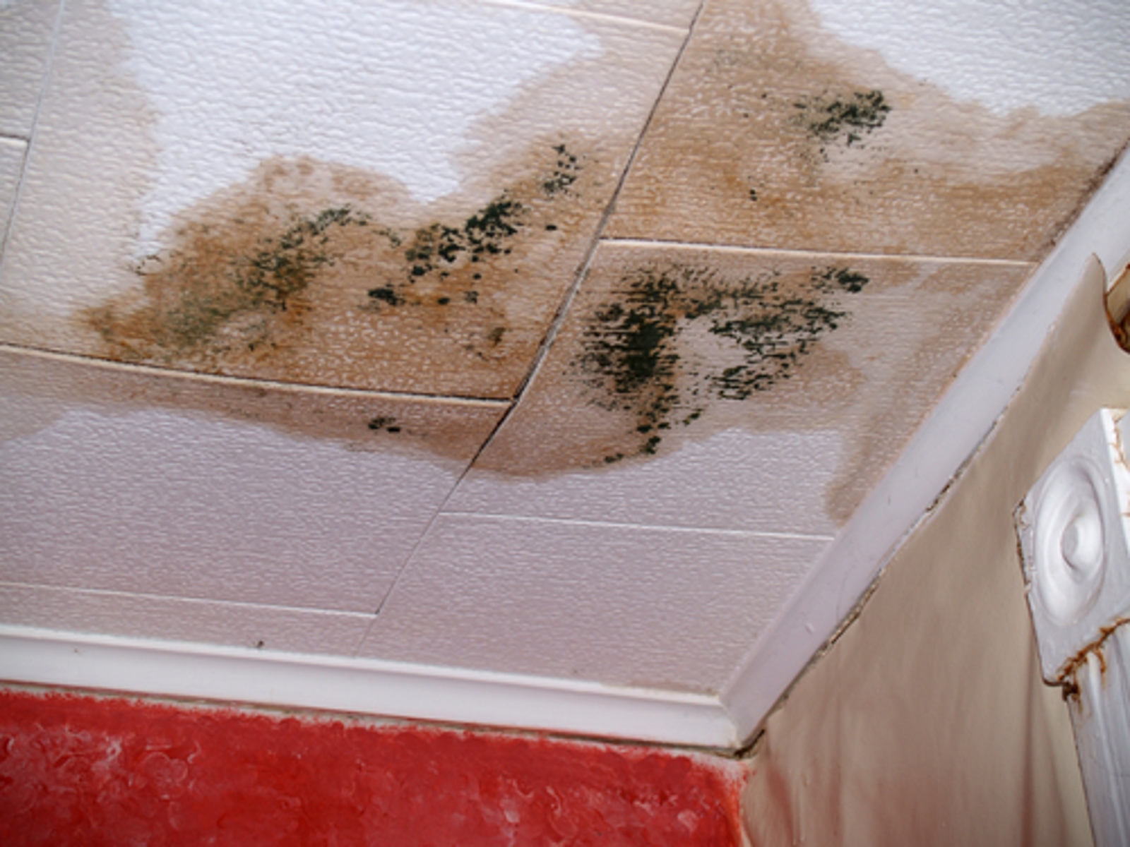 Water Damage Resources | SERVPRO