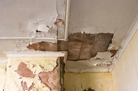 How to Tell If Water Damage Is New or Old? | SERVPRO