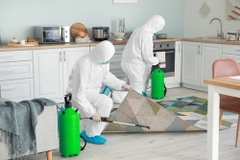 Specialty cleaning company near Iowa City, IA | SERVPRO of Iowa City ...