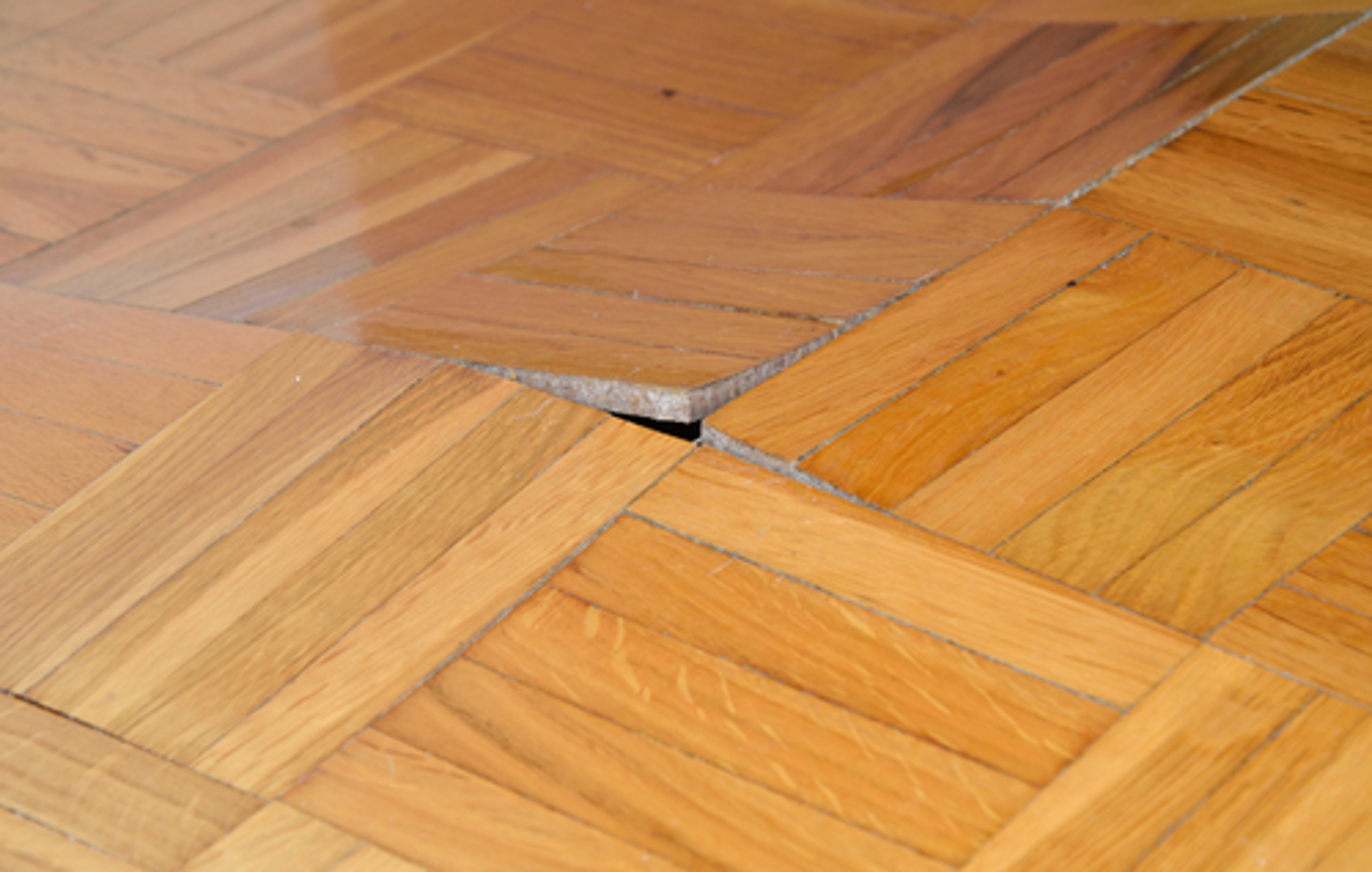 Water damage on a hardwood floor can be repaired | SERVPRO