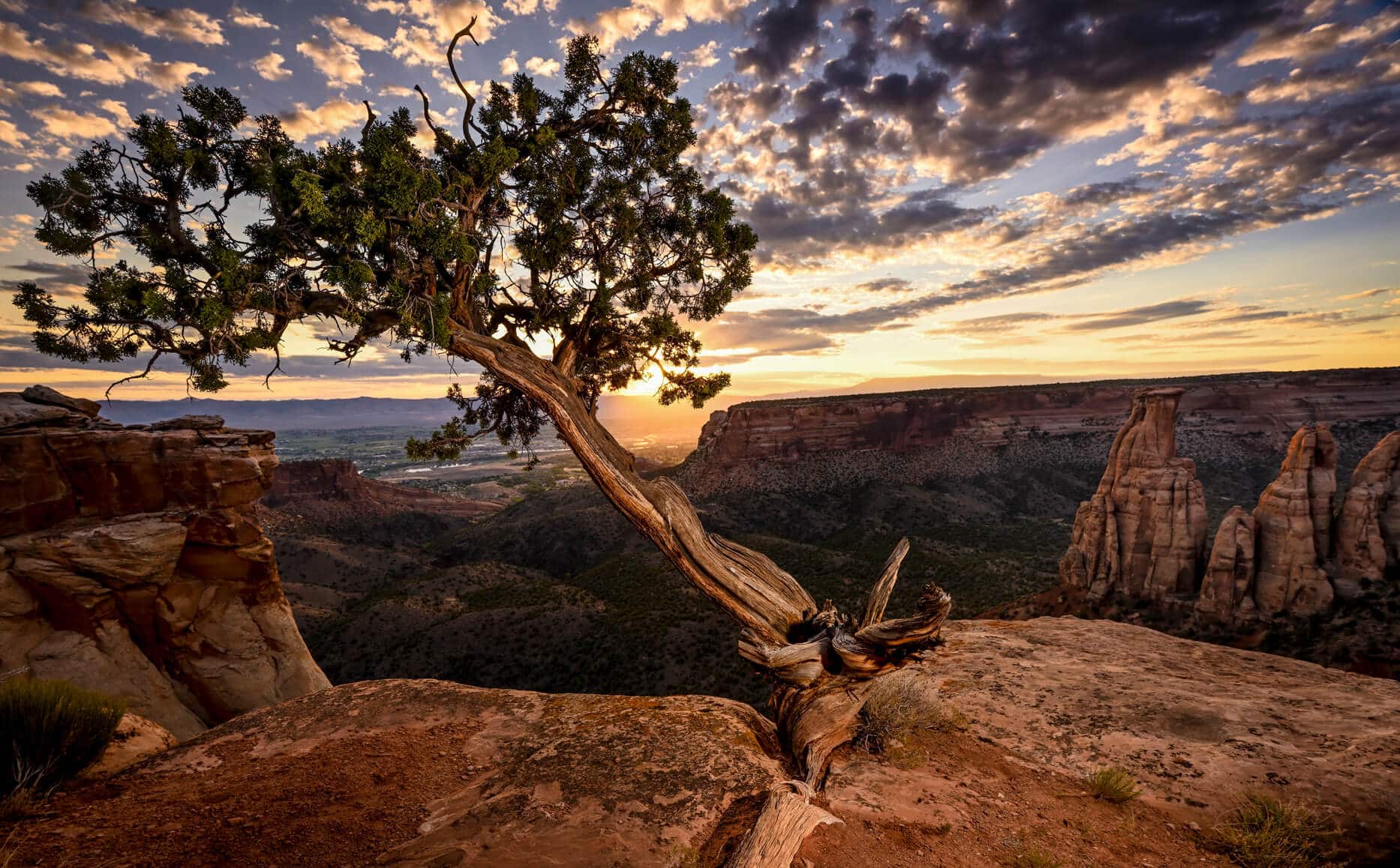 Mirrorless Lenses | Nikon USA