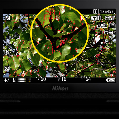 Nikon Z 8 | Mirrorless Cameras | Nikon USA