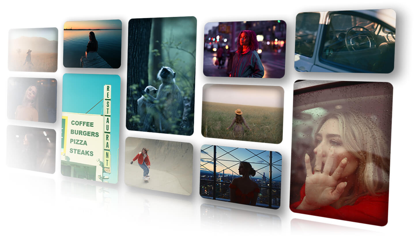 Nikon Imaging Cloud: Seamless Photo Storage | Nikon Canada