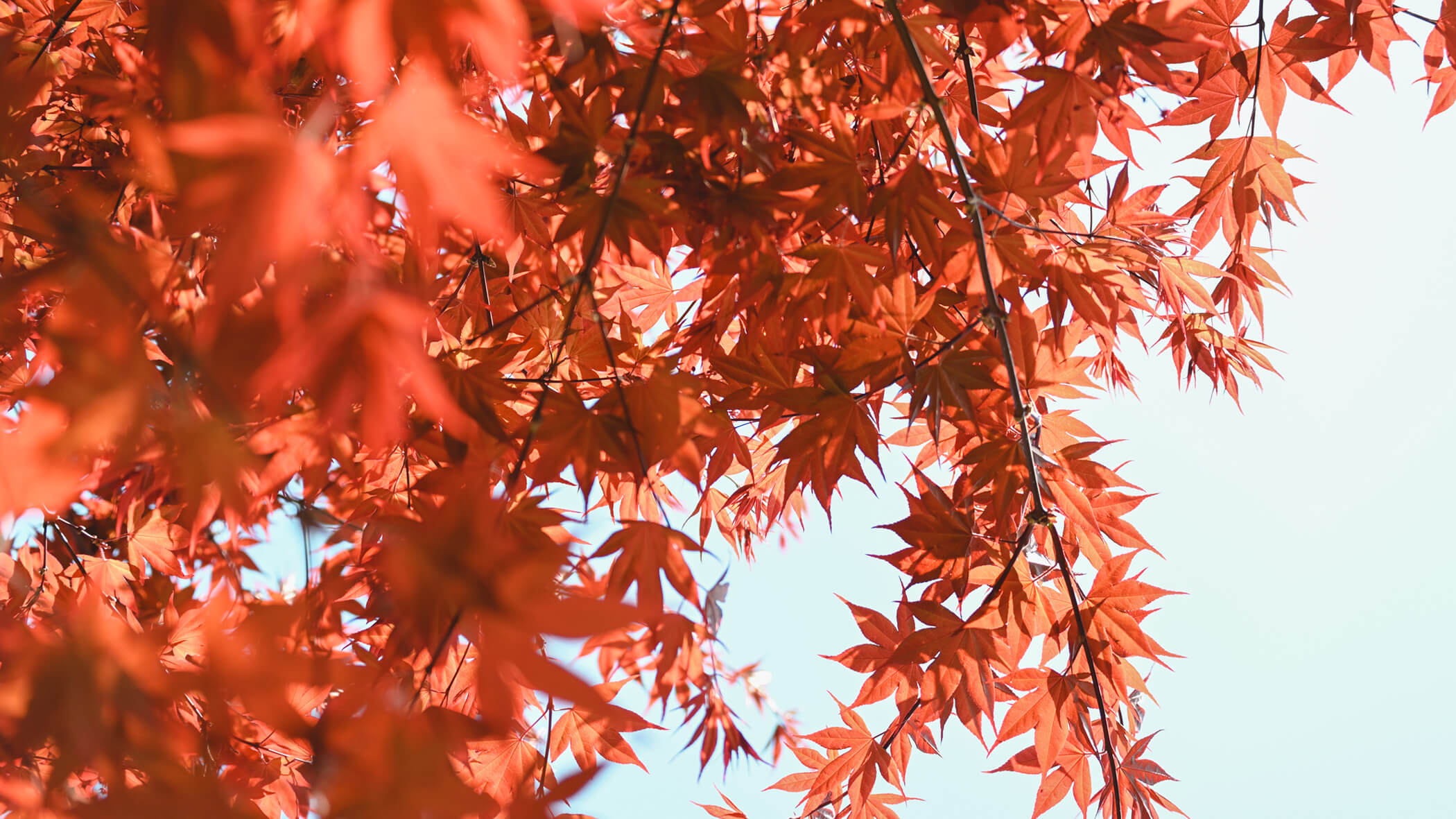 Nikon Z30 12-28mm PZ VR kit | Photo-Op