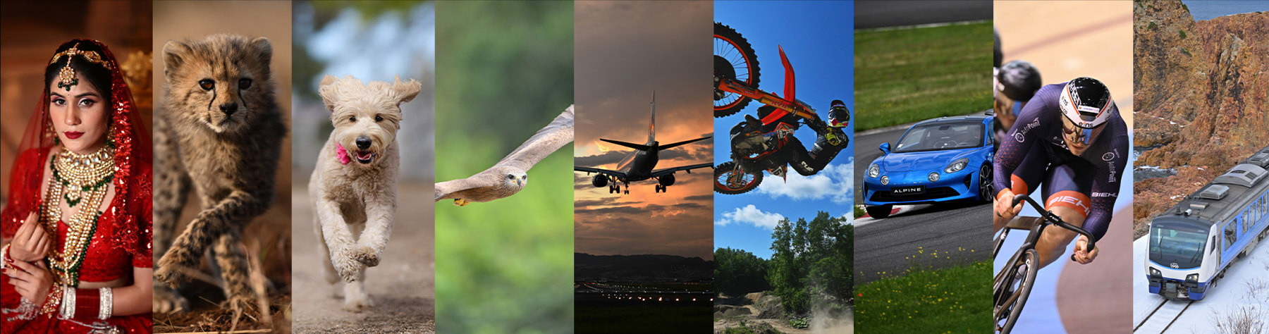 Nikon Z 8 | Mirrorless Cameras | Nikon USA