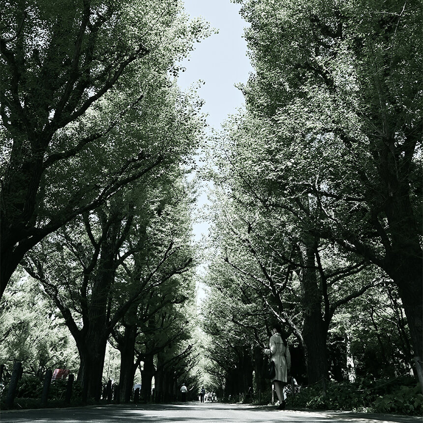 Nikon Z fc Black | Mirrorless Cameras | Nikon USA