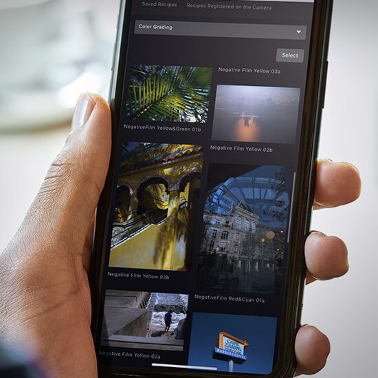 Nikon Imaging Cloud: Seamless Photo Storage | Nikon Canada