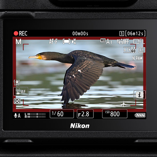 Z 9 Firmware 2.0 | Upgrade to Unlock New Features