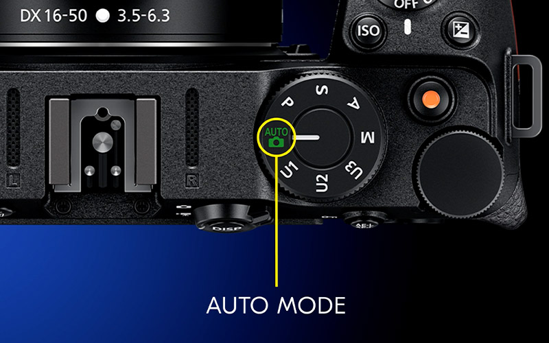 Getting the Most Out of Your Z 30