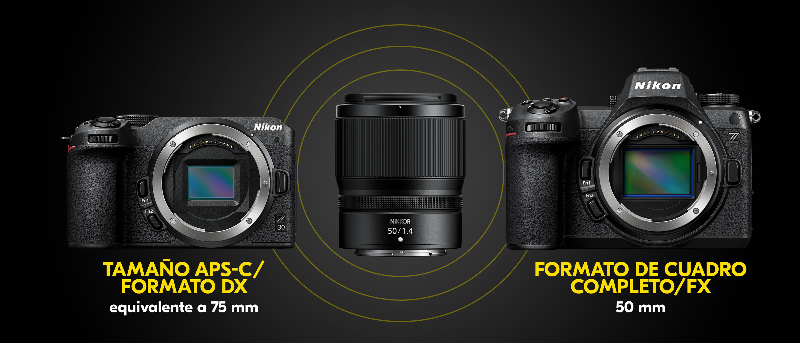 Nikon NIKKOR Z 50 mm f/1.4 | Lentes | Nikon