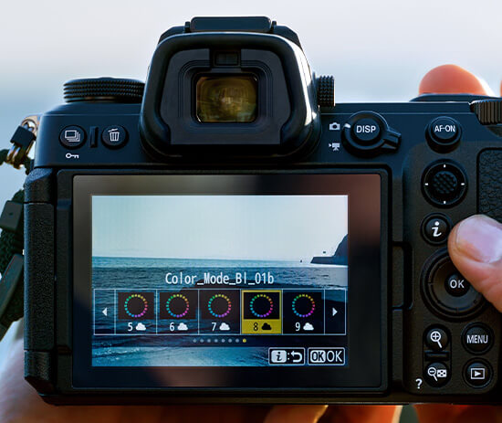 Nikon Imaging Cloud: Seamless Photo Storage | Nikon Canada