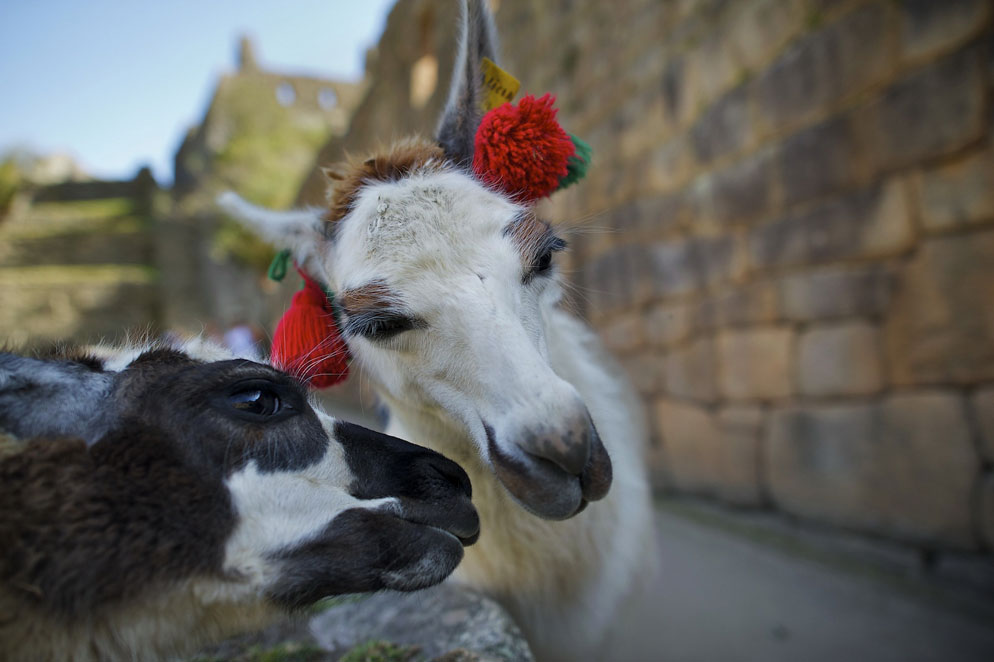 Jim Richardson: Why Fast Lenses Make All the Difference