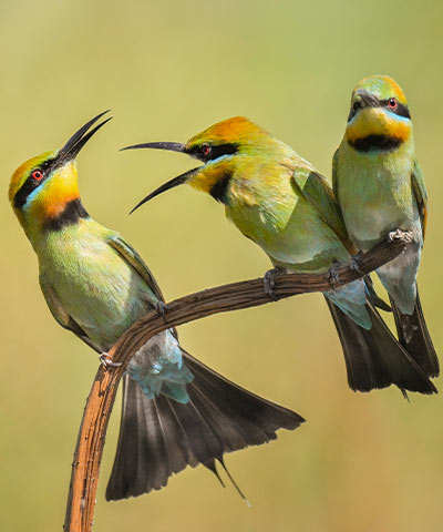 Nikon Z 8 | Mirrorless Cameras | Nikon USA