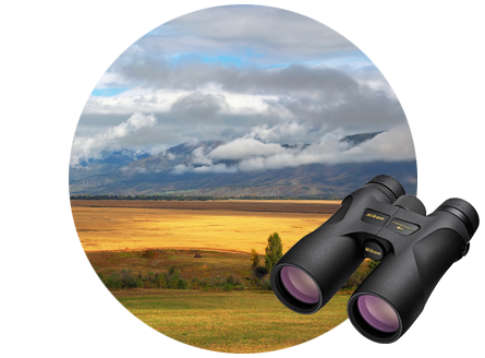 Nikon PROSTAFF 7S 10x42 | | Nikon USA