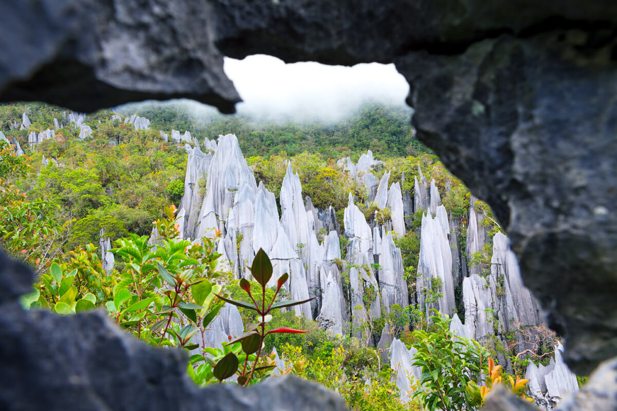 4 Facts About Gunung Mulu National Park, Sarawak’s Biodiversity Treasure