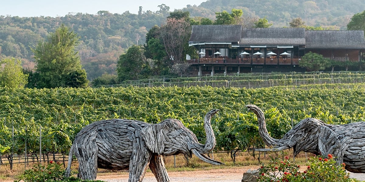 5 Charming Vineyards in Thailand Every Wine Lover Should Visit