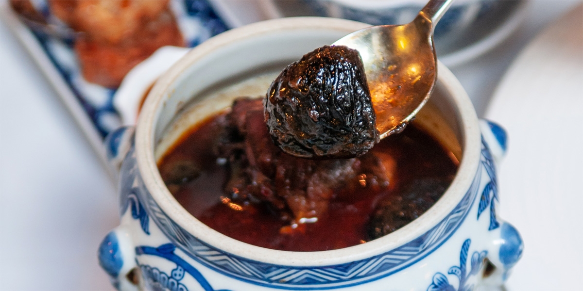 Buah Keluak: The Deadly Seed Everyone Is Nuts About