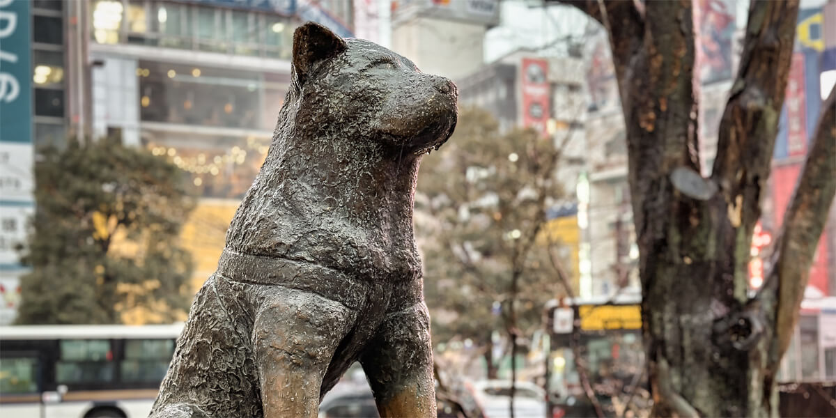Hachiko Statue