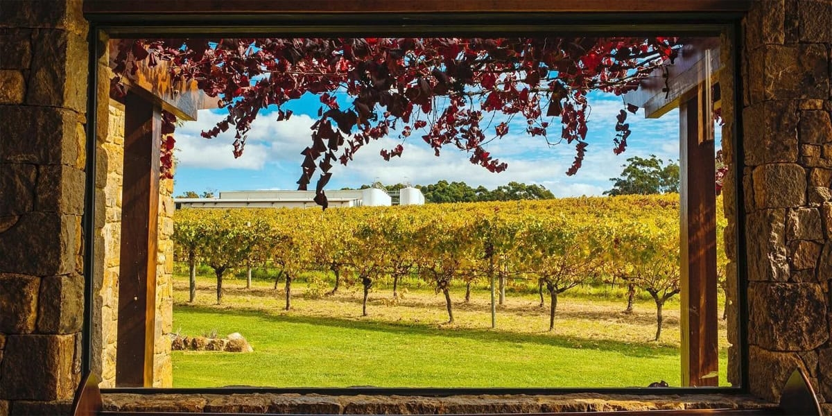 5 Exceptional Wineries Near Perth for Wine Lovers