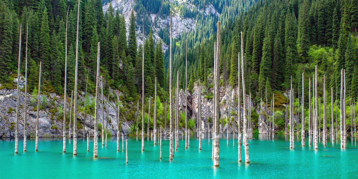 Lake Kaindy 2 Day Trip To Kolsai Lake, Kaindy Lake & Charyn Canyon