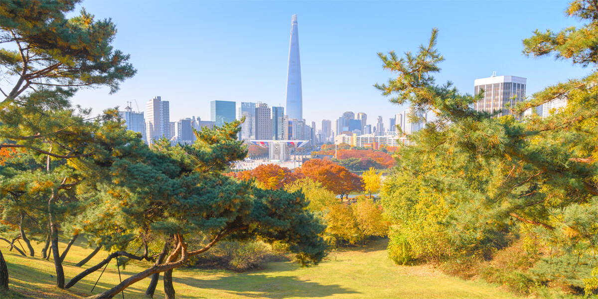10 Most Scenic Parks in Seoul to Catch Views
