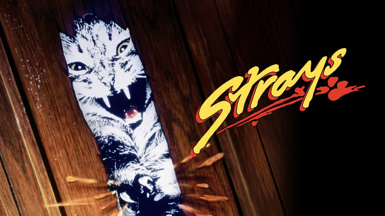 Strays (1991) | Universal Pictures At Home