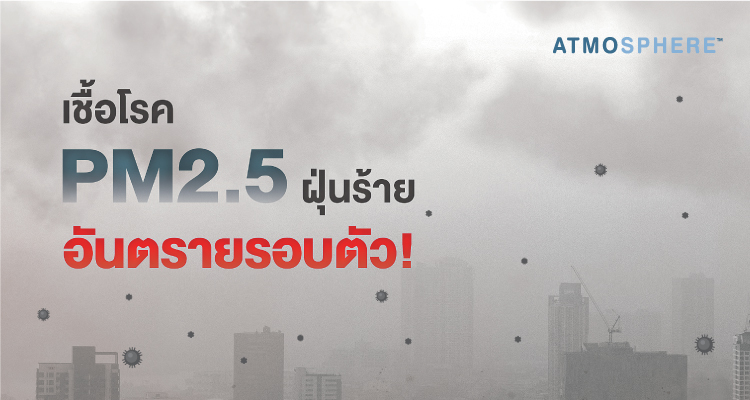 เชื้อโรค PM2.5 ฝุ่นร้ายอันตรายรอบตัว! | นิตยสารอะชีฟ ฉบับพฤศจิกายน 2567