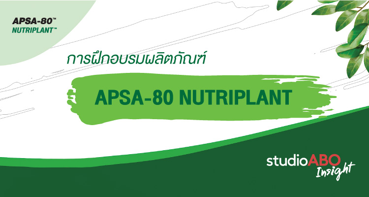การฝึกอบรมผลิตภัณฑ์ APSA-80 NUTRIPLANT | นิตยสารอะชีฟ ฉบับตุลาคม 2565