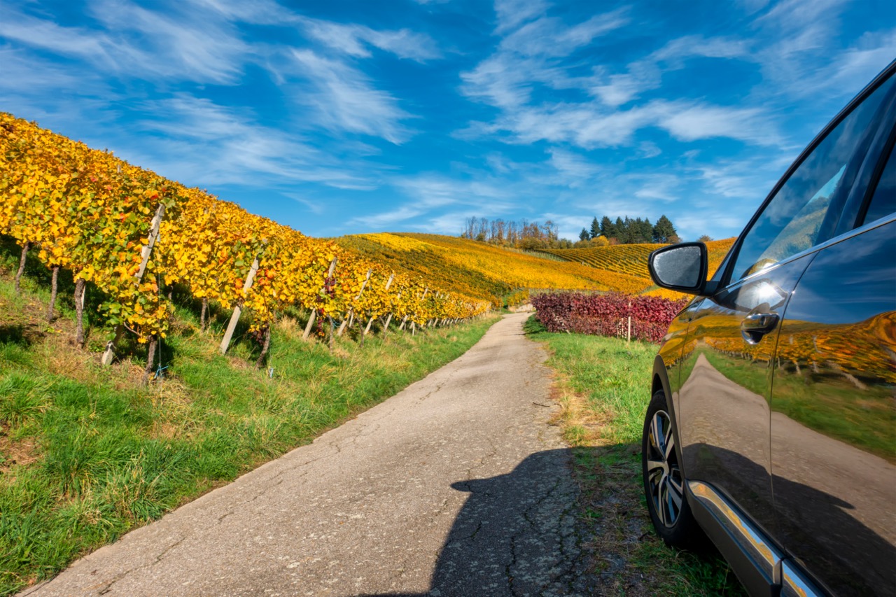 The Ultimate Riverina Road Trip Starting in Griffith | Thrifty Car ...