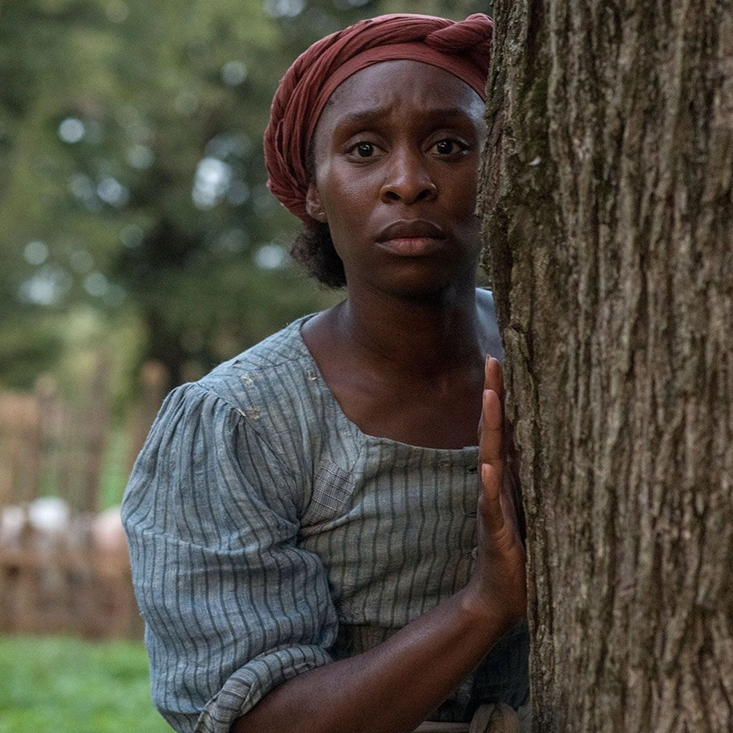 Harriet