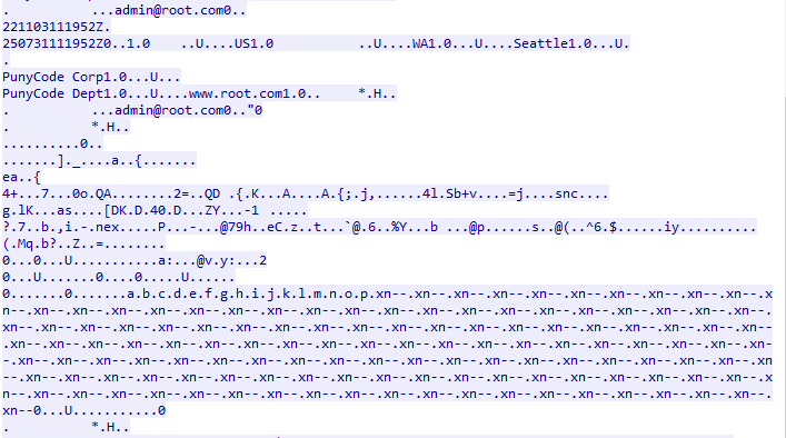 Openssl X509 Certificate Vulnerabilities