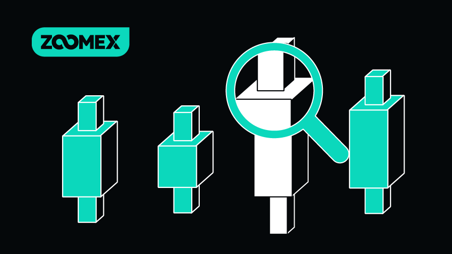 How to Read Coin Charts for Beginners, and Recommended Long-Term ...
