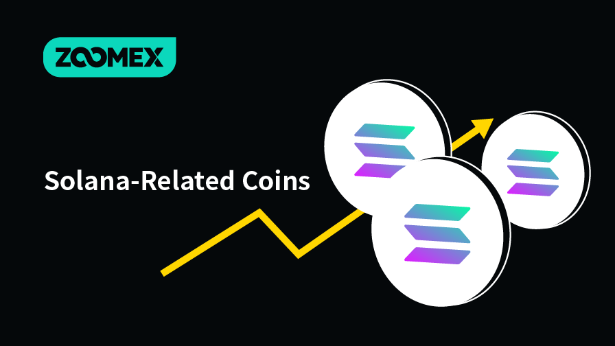 Undervalued Coin Picks! Overview of the Solana Ecosystem and Solana-Based Coins | Zoomex Media