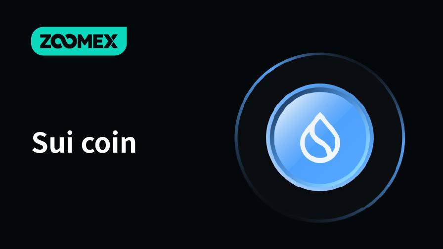 What is Sui? A Beginner’s Guide to the Next-Gen Blockchain | Zoomex Media