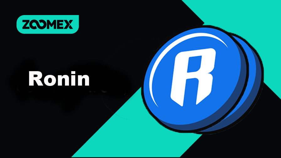 What is Ronin? A Complete Guide to the Gaming-Focused Blockchain ...