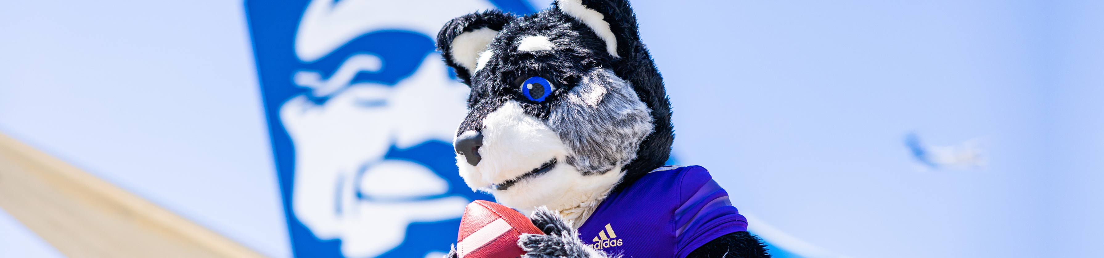 Fast track to Alaska's Mileage Plan™ elite status