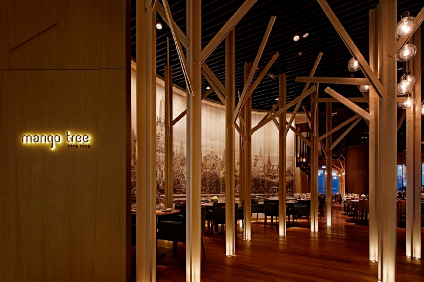 Mango Tree │ ELEMENTS 圓方