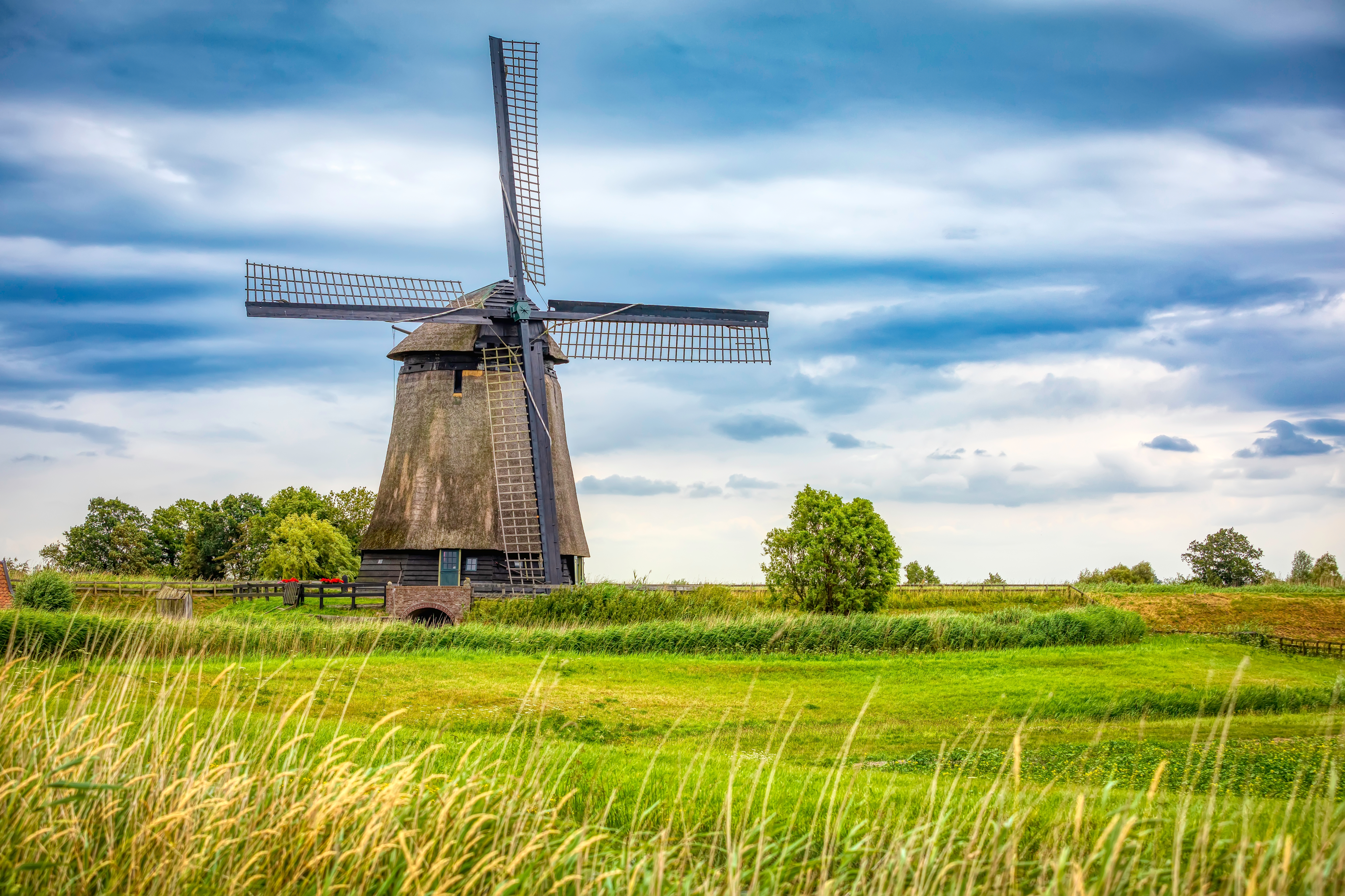 Aprender Holandês |Curso de Holandês | Berlitz