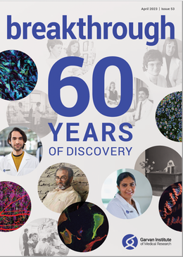Breakthrough magazine | Garvan Institute of Medical Research