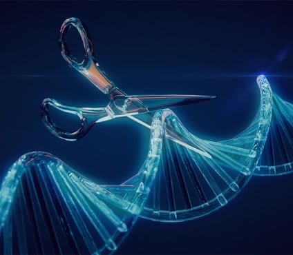 Anatomy Of Gene