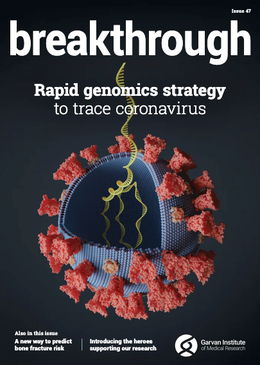 Breakthrough magazine | Garvan Institute of Medical Research