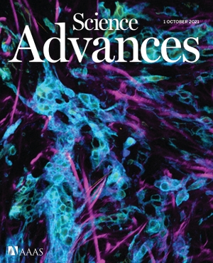 Our research | Garvan Institute of Medical Research