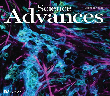 Garvan Institute's research publications