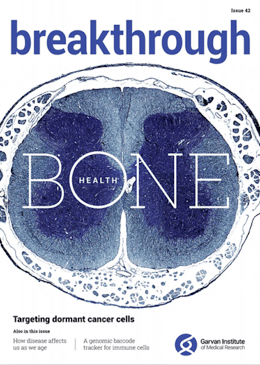 Breakthrough magazine | Garvan Institute of Medical Research