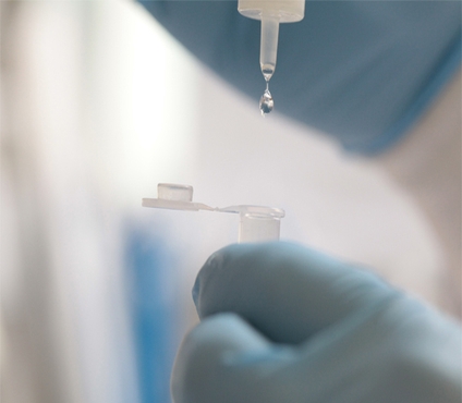 Hand with a blue glove holding a pipetting drip.